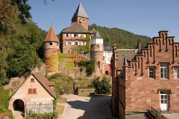 Schloss-Zwingenberg